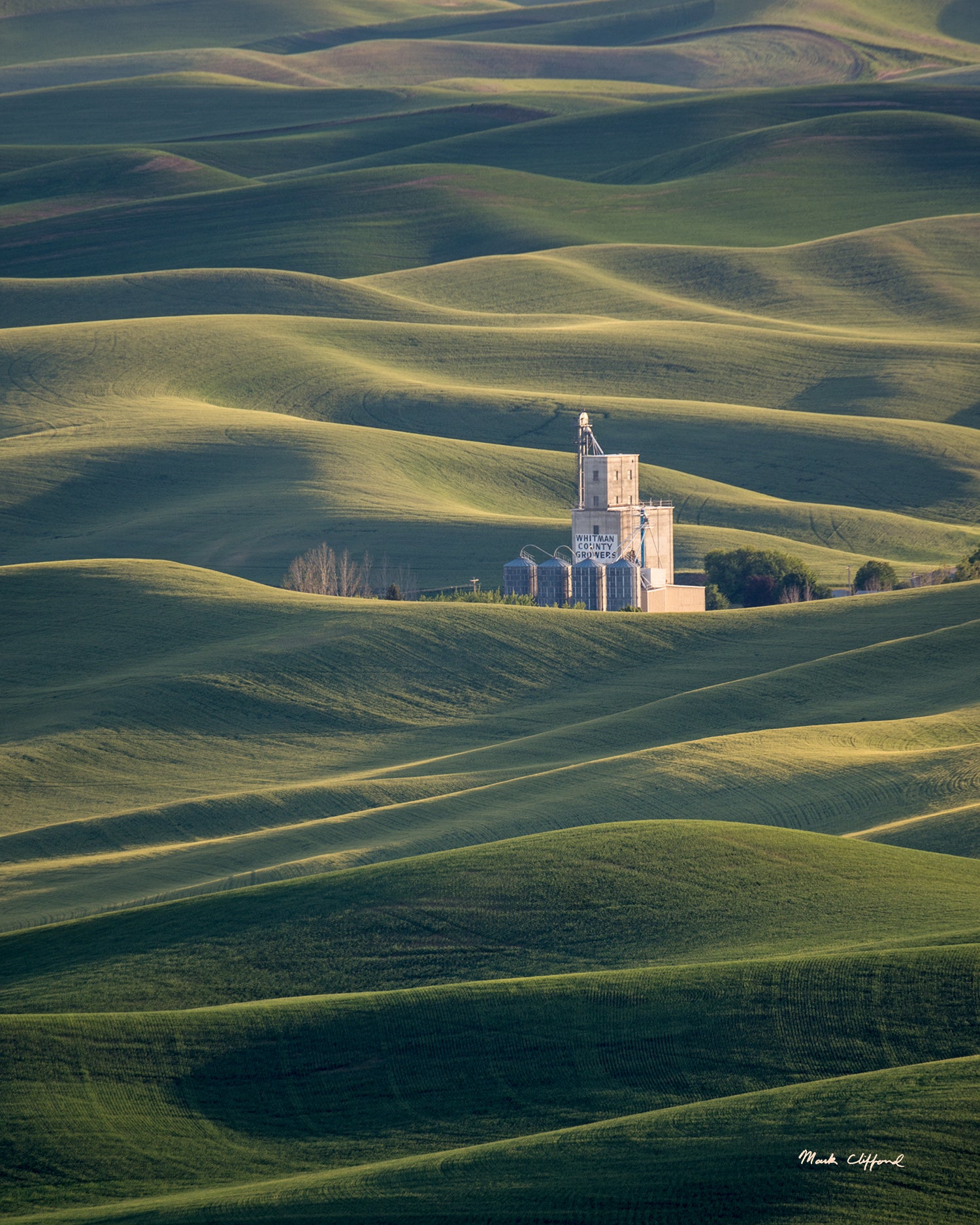 Steptoe Butte at Golden Hour Fine Art Photographic Print | MRC ...
